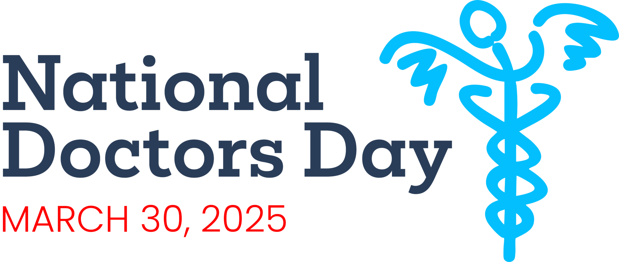 2025 National Doctors Day Logo, Fonts & Colors - NationalDoctorsDay.org
